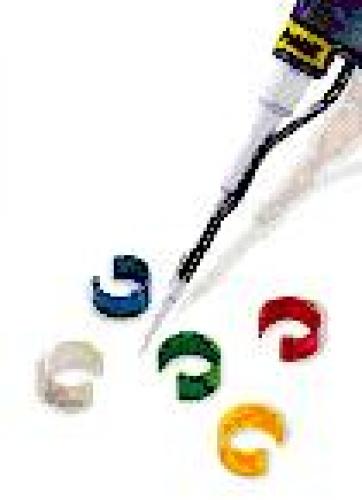 SEPADIN - PRODUCATOR: GILSON - FRANTA